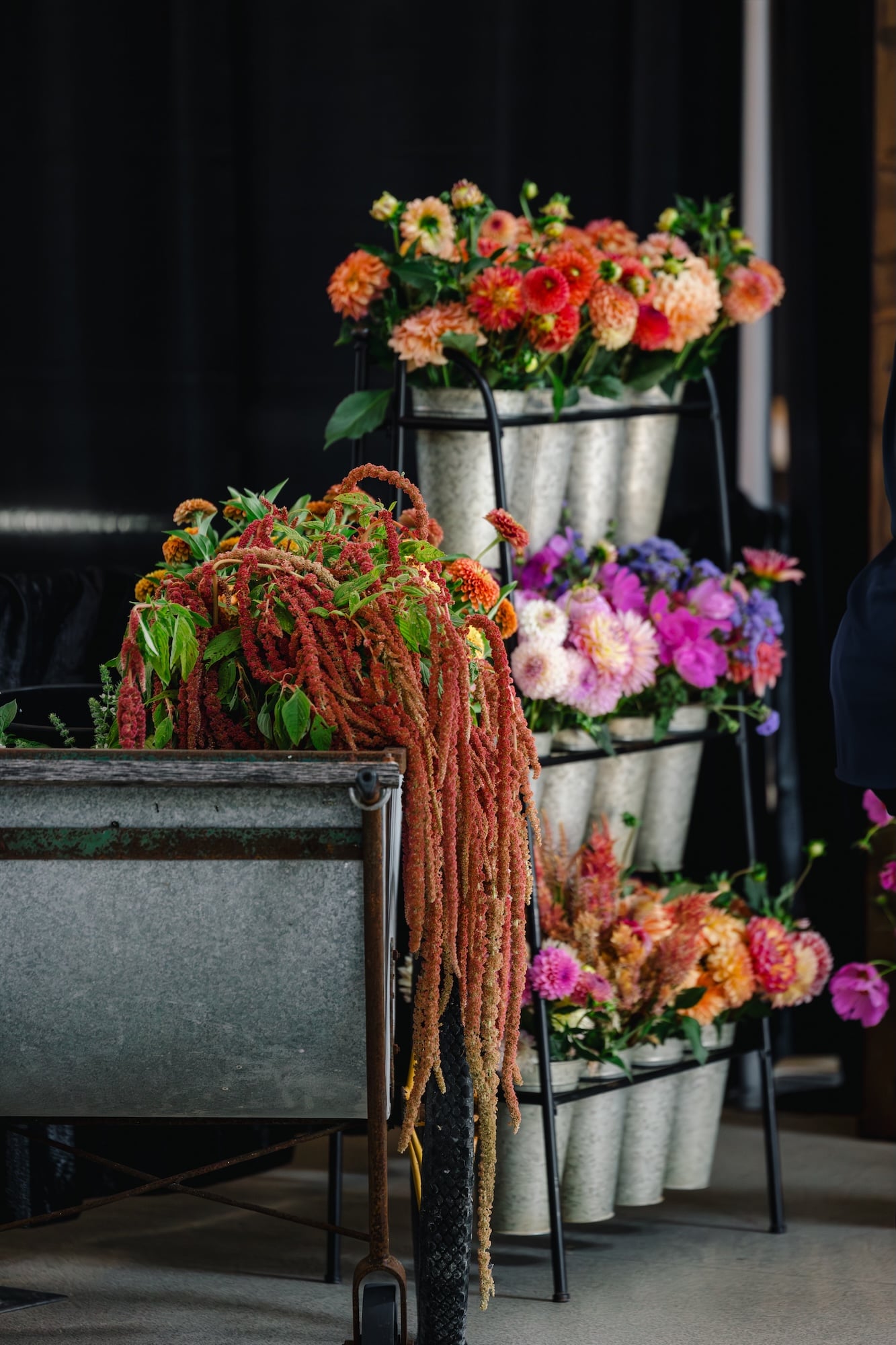 Schedule - Kruse Flower Show
