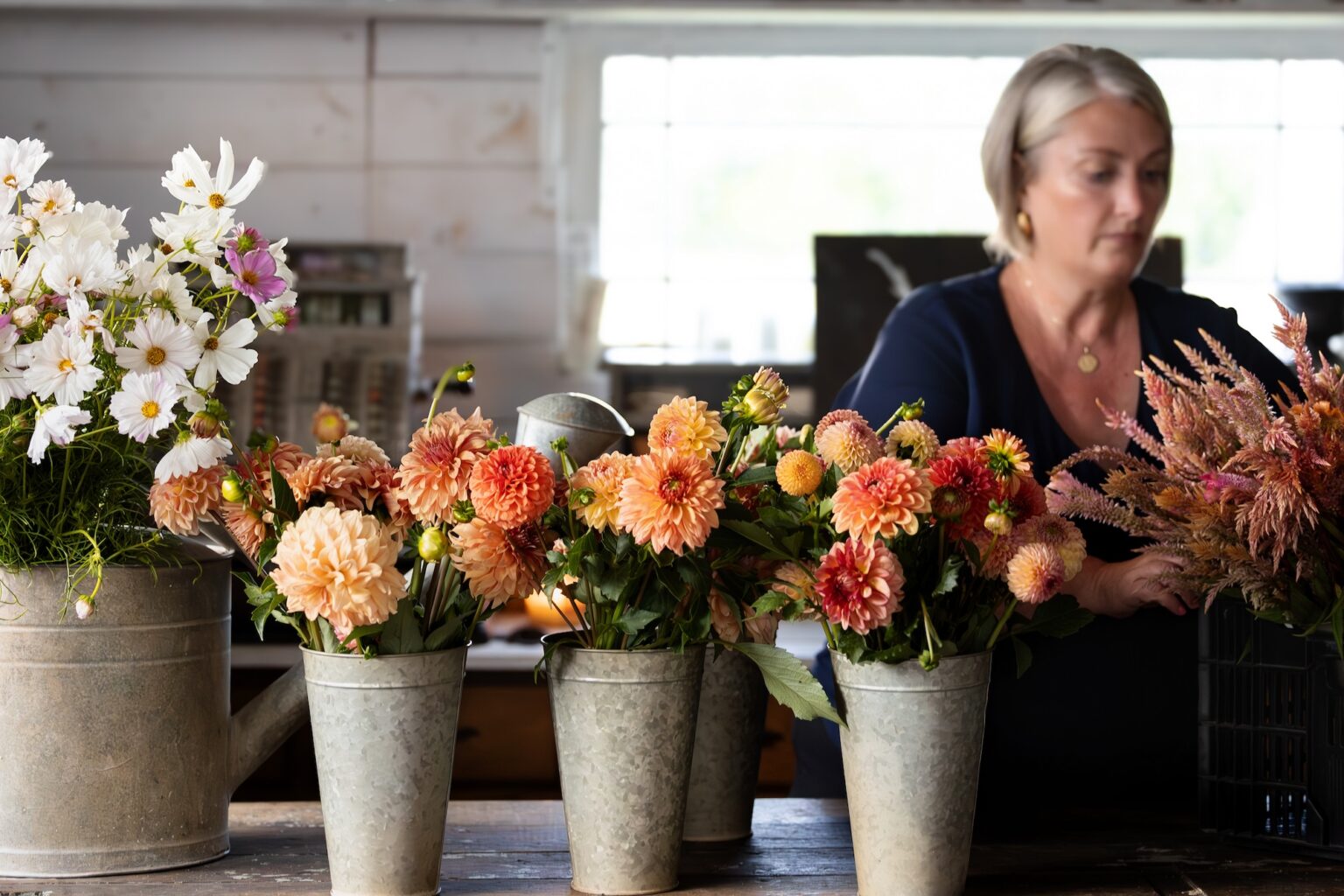 Schedule - Kruse Flower Show